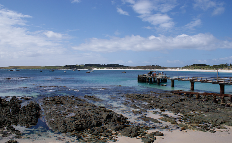 Home » Chatham Islands Council
